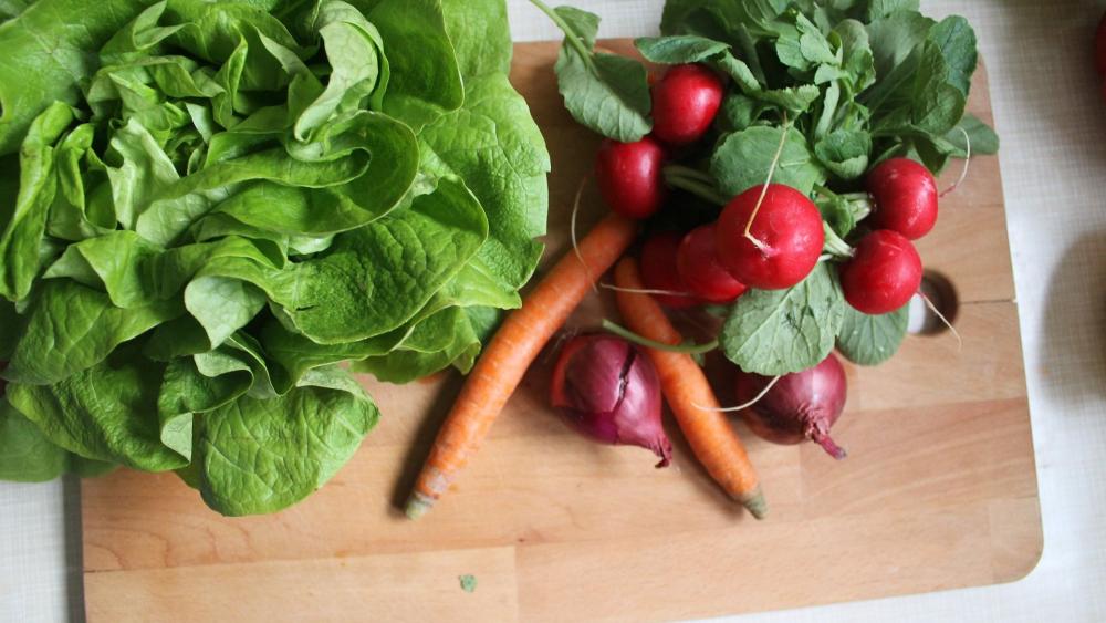 ‘Seed to Supper’ program aimed at teaching people how to grow food ...