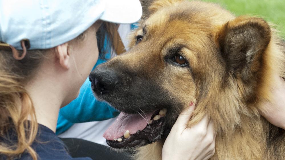 Center for Counseling and Psychological Services to host caring canines ...