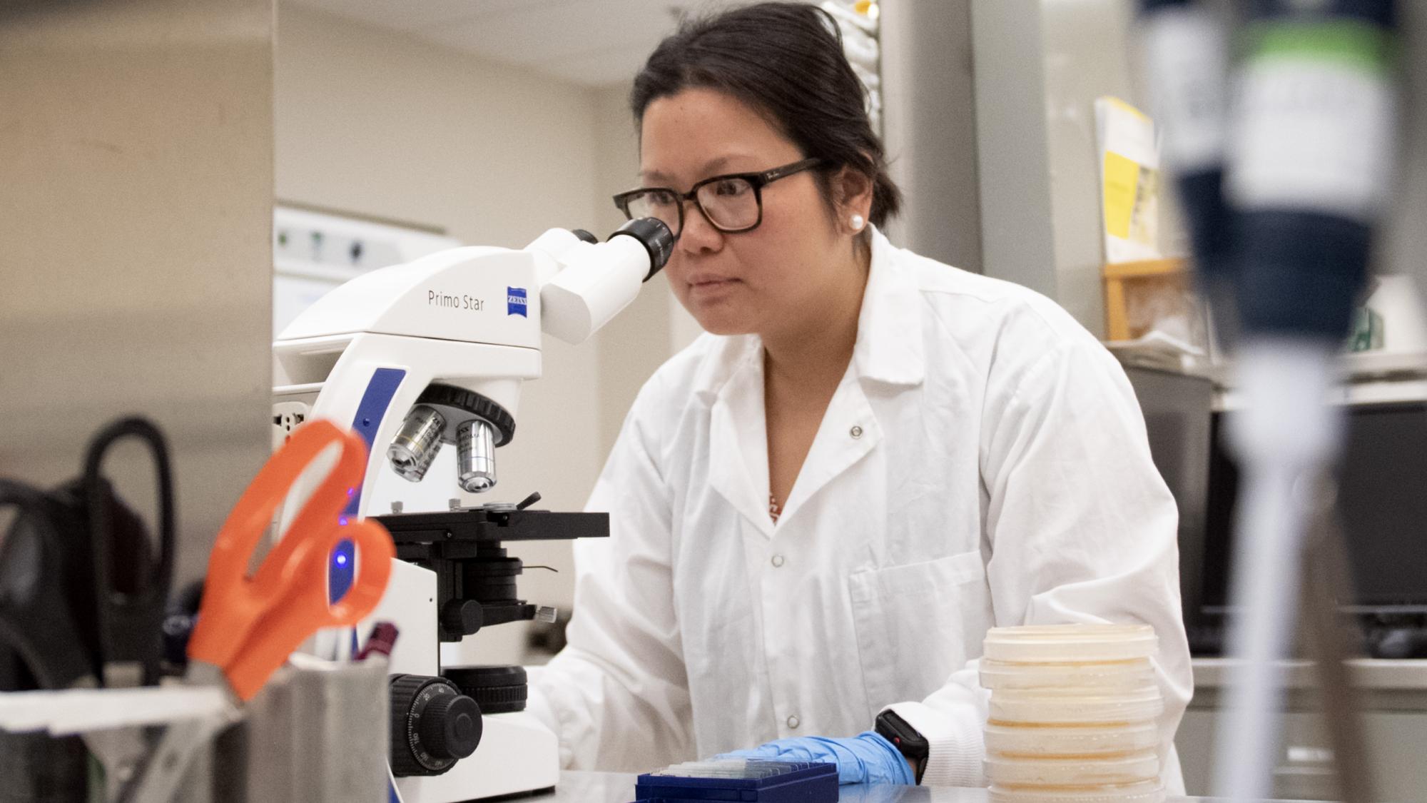 The Road Map for Penn State’s Future | Penn State University