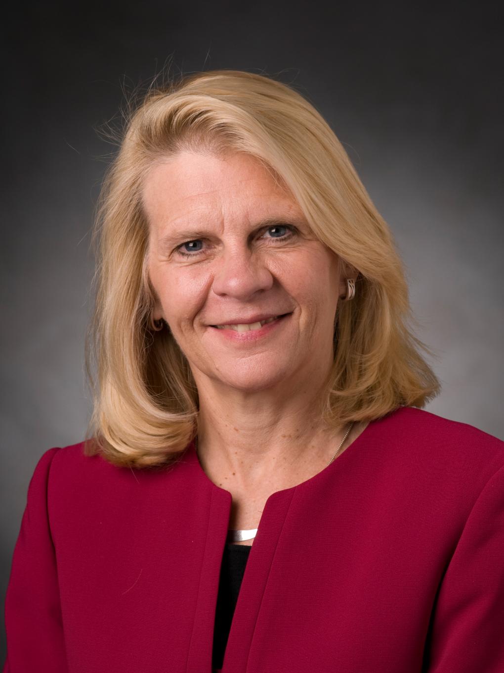 Karen Thole to receive the ASME George Westinghouse Medal | Penn State ...