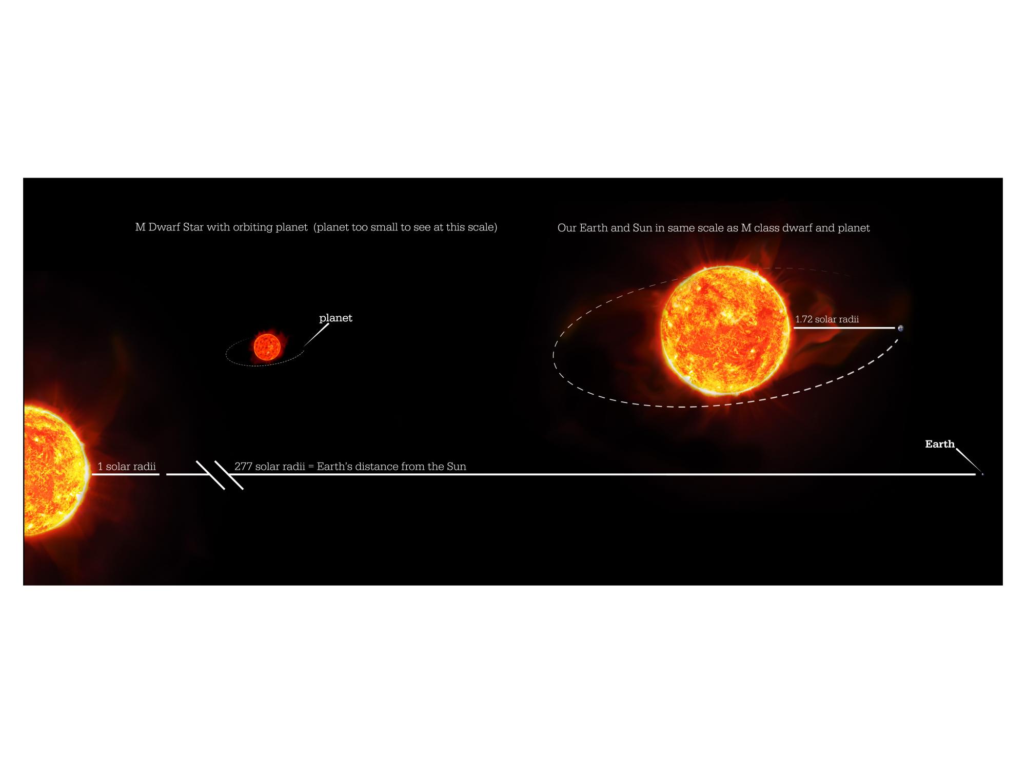 dwarf star size