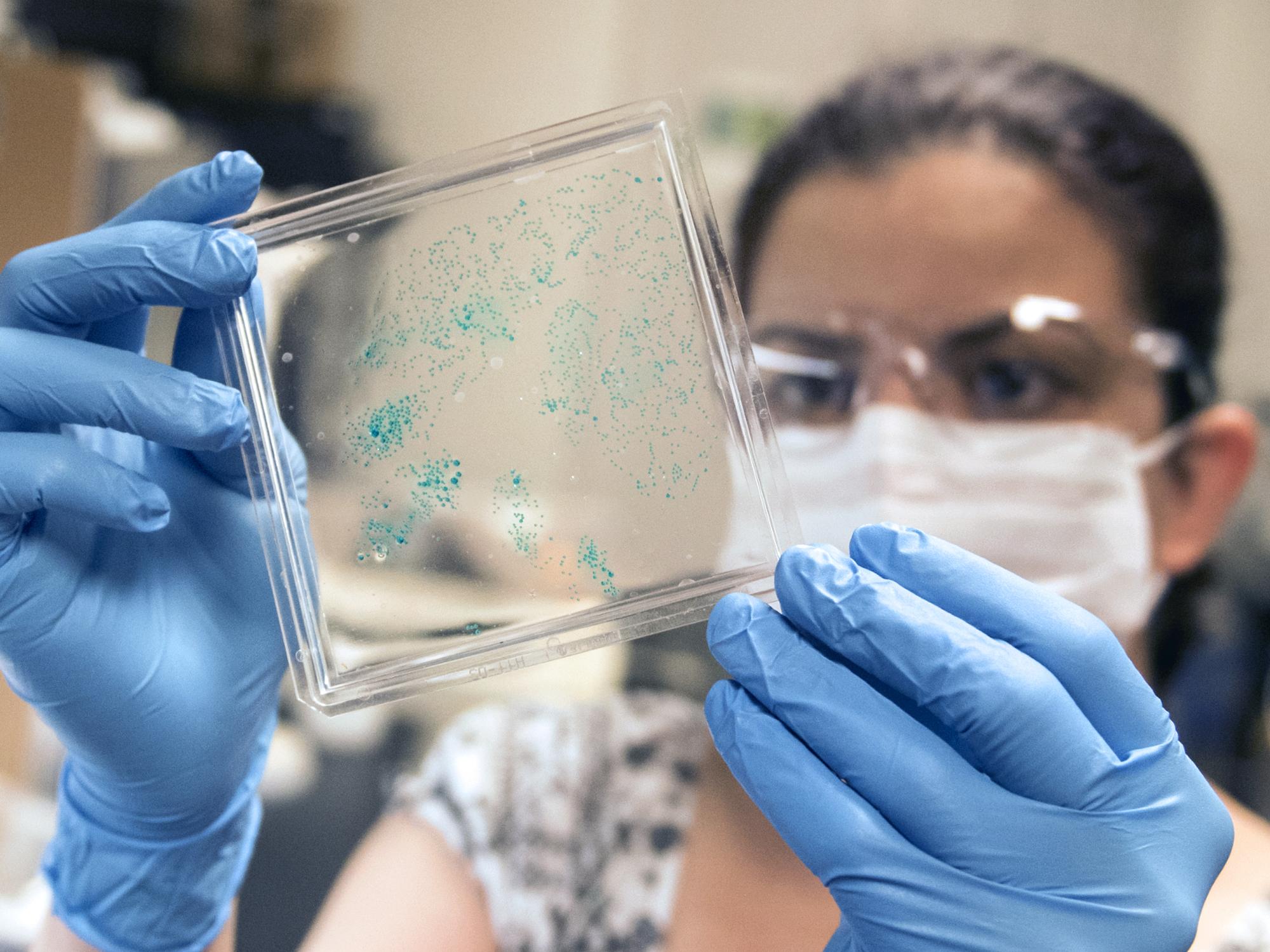 Latest NSF rankings show breadth and depth of Penn State research ...