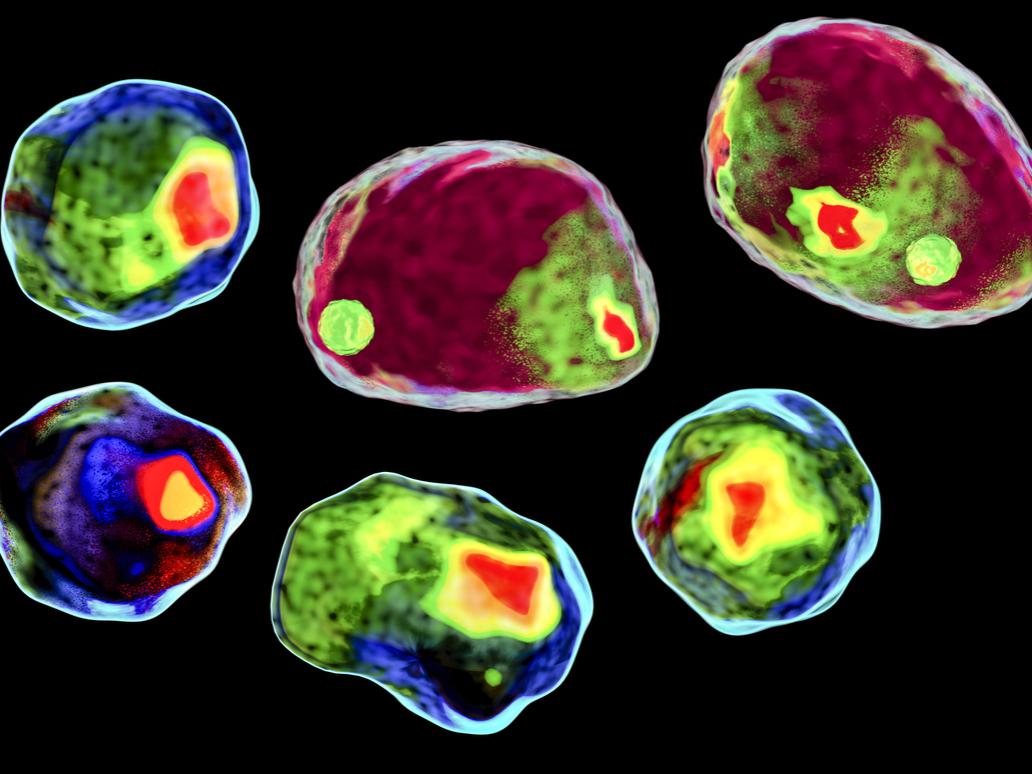 Flow Cytometry Core Facility provides cell analysis expertise to ...