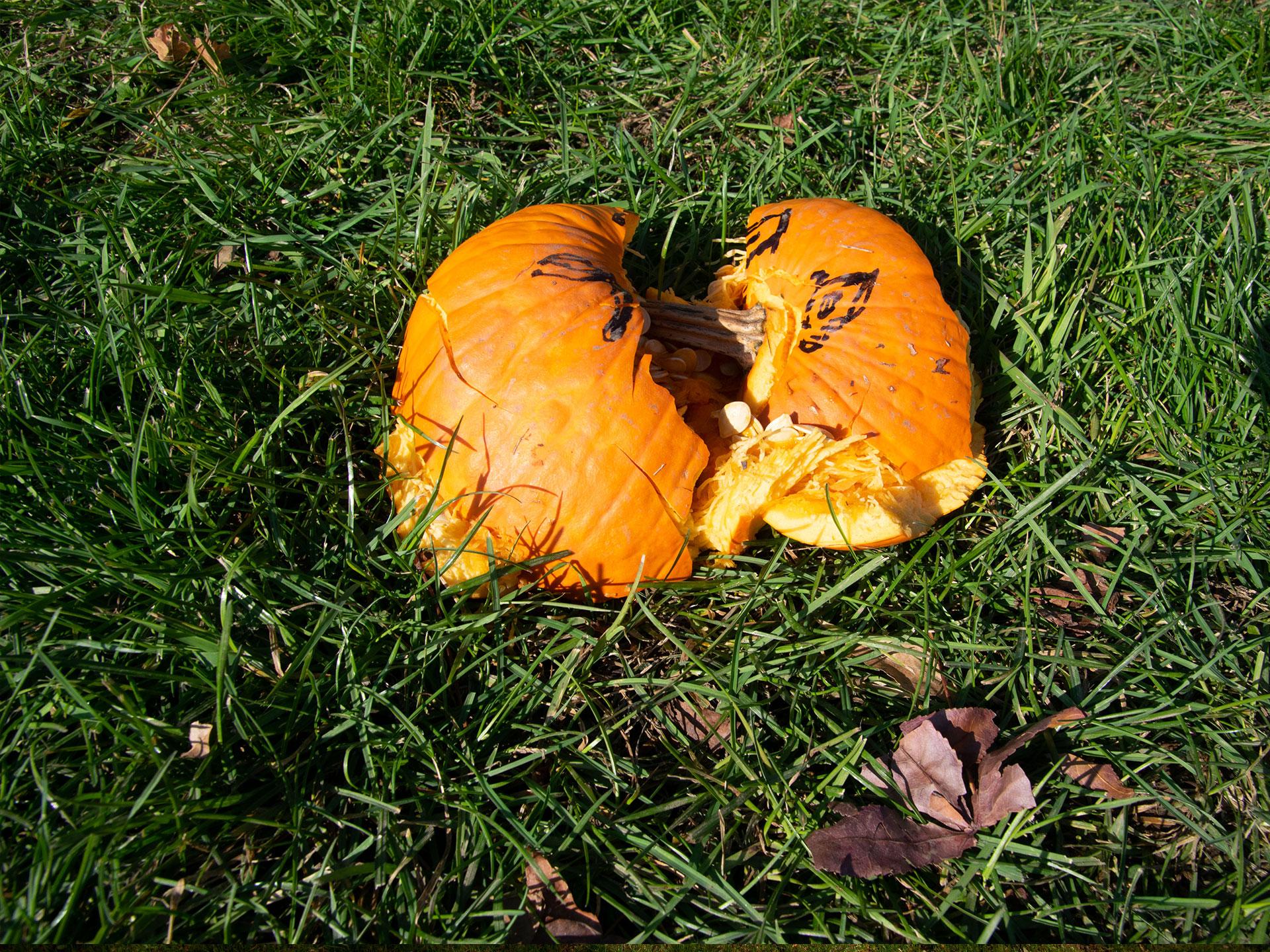 how to draw pumpkin launcher