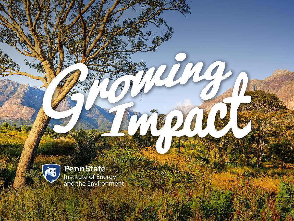 Growing Impact Probes Malawi Landscape Restoration | Mirage News