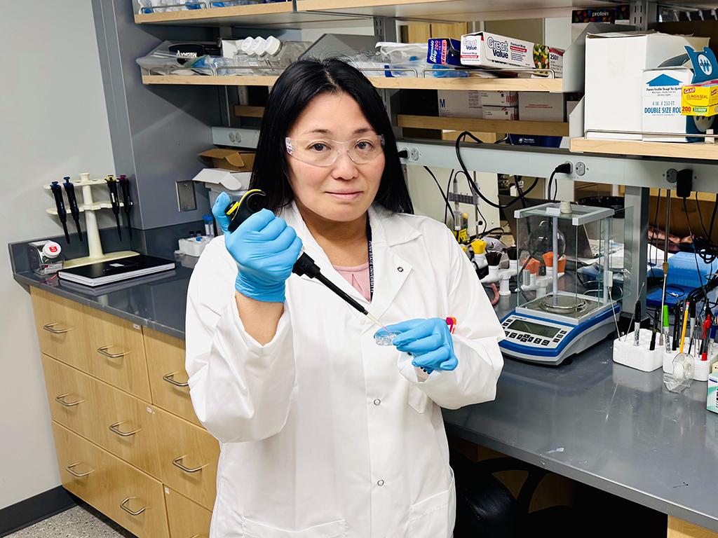 Patchy Thermogels: Future of Biomedical Materials | hfood ABN ...