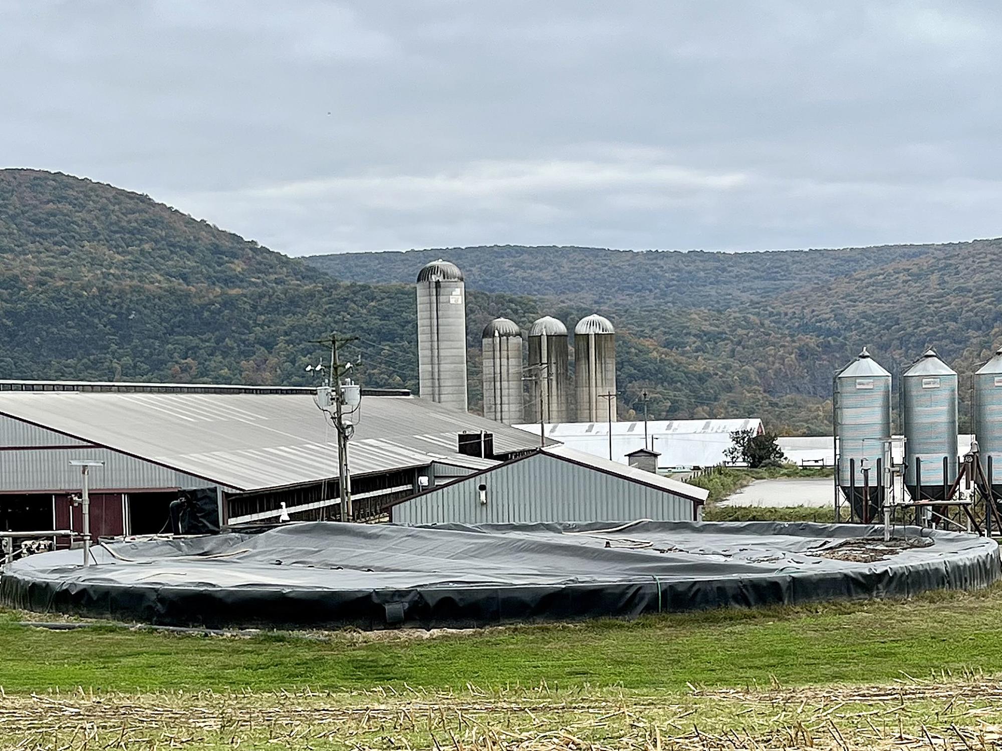 Research: Grass2Gas Fuels Sustainable PA Dairy Farms | Mirage News