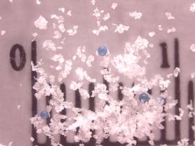 Sounding the alarm on microplastic pollution | Penn State University