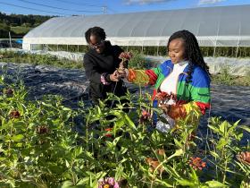 Rankings | Penn State University