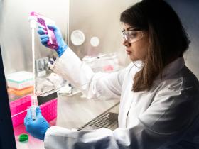 Huck Institutes of the Life Sciences | Penn State University