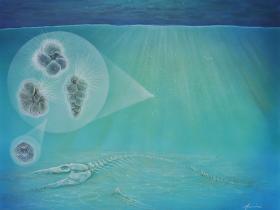 New species emerged faster than thought after dinosaur extinction ...