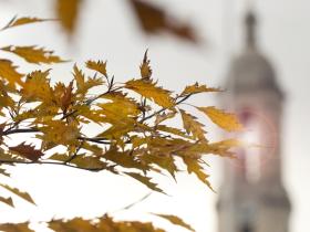 University Health Services | Penn State University