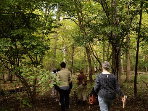 ‘The forest knows what you need’: Forest therapy to help participants ...