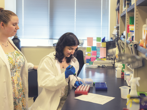 Department of Chemistry | Penn State University