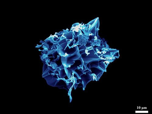 Materials Research Institute | Penn State University