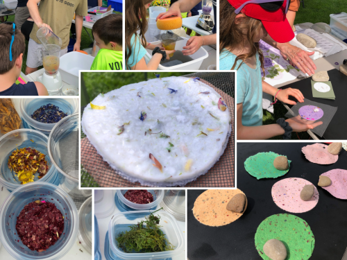 Libraries’ Conservation Centre holds summer 2026 Arboretum papermaking ...