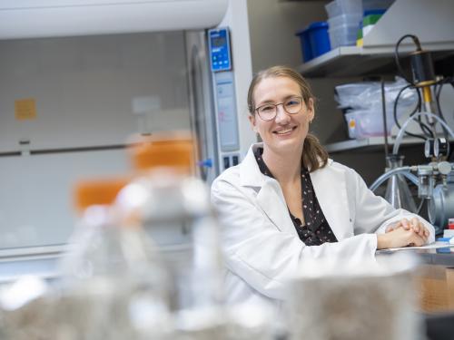 Penn State Schuylkill faculty member Sarah Princiotta promoted to ...