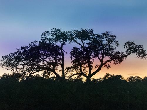 Photo contest: Share your best picture of Penn State in the fall | Penn ...