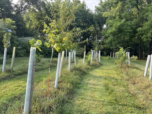 Master Watershed Steward’s enthusiasm for the environment takes root in ...