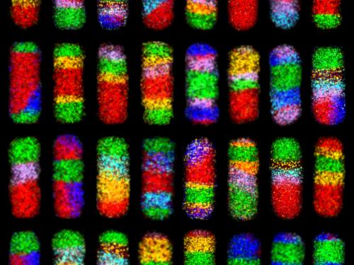 A megalibrary of nanoparticles | Penn State University