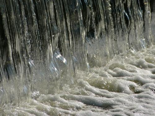 Wetlands are a natural solution to our ‘water blues’ | Penn State ...